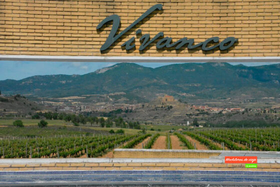 Ruta por la Rioja en coche: de Arnedo a Haro | Pueblos y bodegas